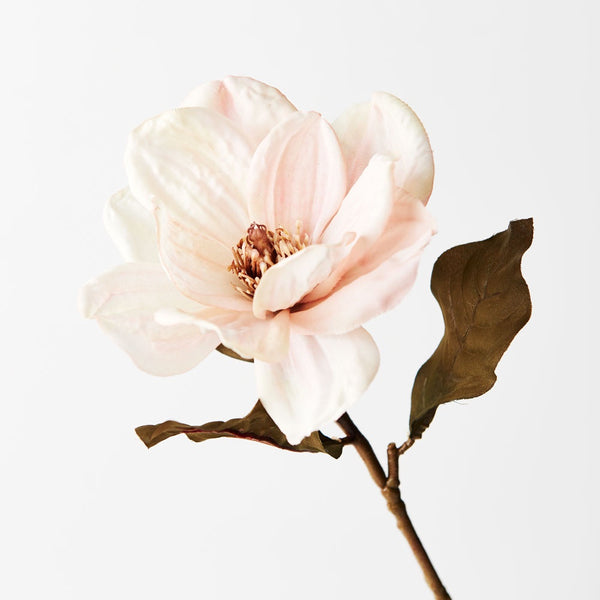 Magnolia Stem - Exotiq Homewares